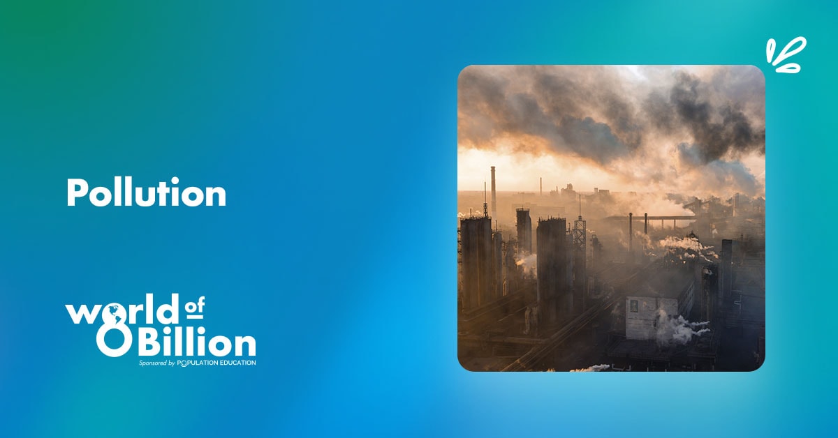 Learn About the Issues: Pollution | World of 8 Billion